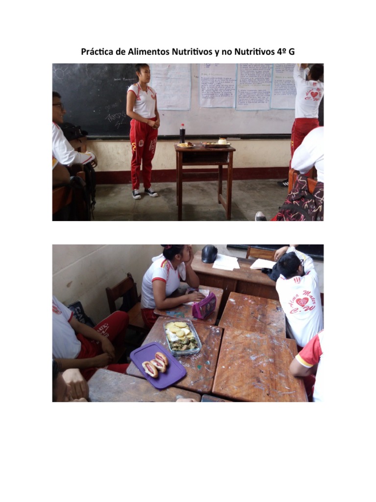 Práctica de Alimentos Nutritivos y No Nutritivos 4º G | PDF