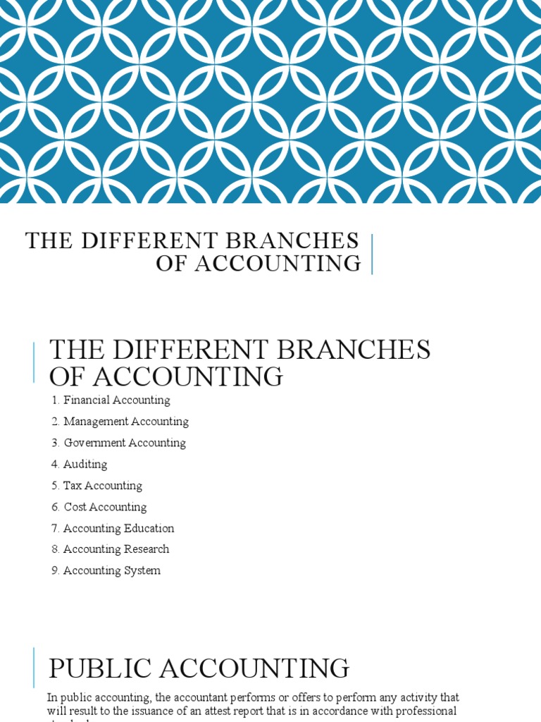 Branches of Accounting and Users of Financial Information | PDF ...