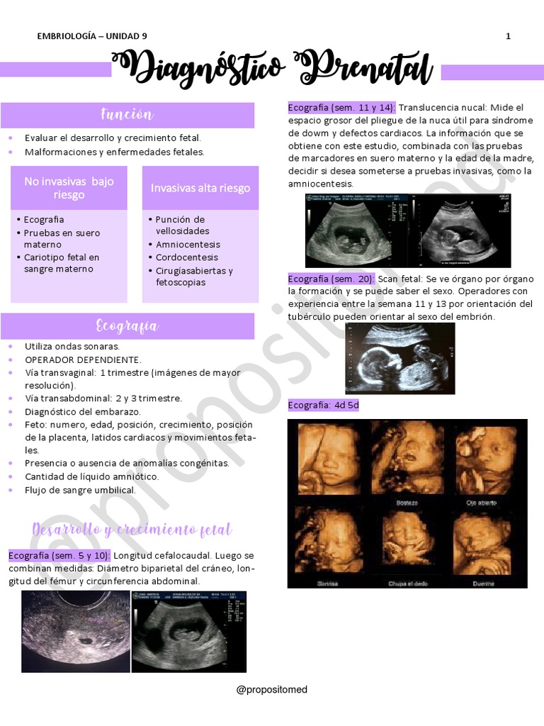 UNIDAD 9 - Diagnóstico Prenatal | PDF | Feto | Especialidades Medicas