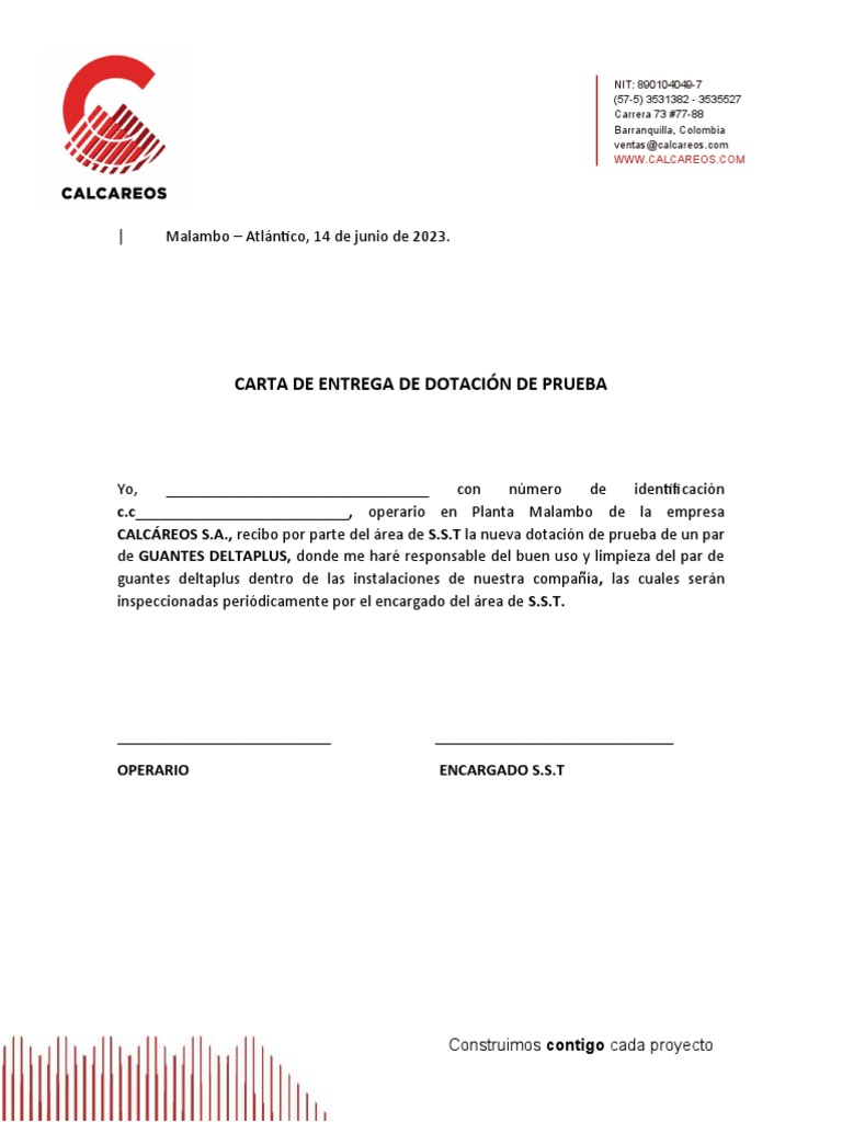 Carta Entrega de Epp Pruebas | PDF