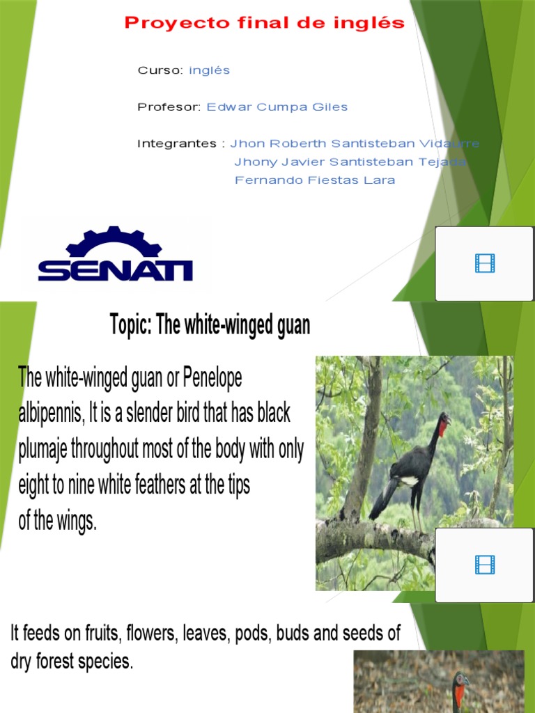 Proyecto Final de Ingles 2 | PDF