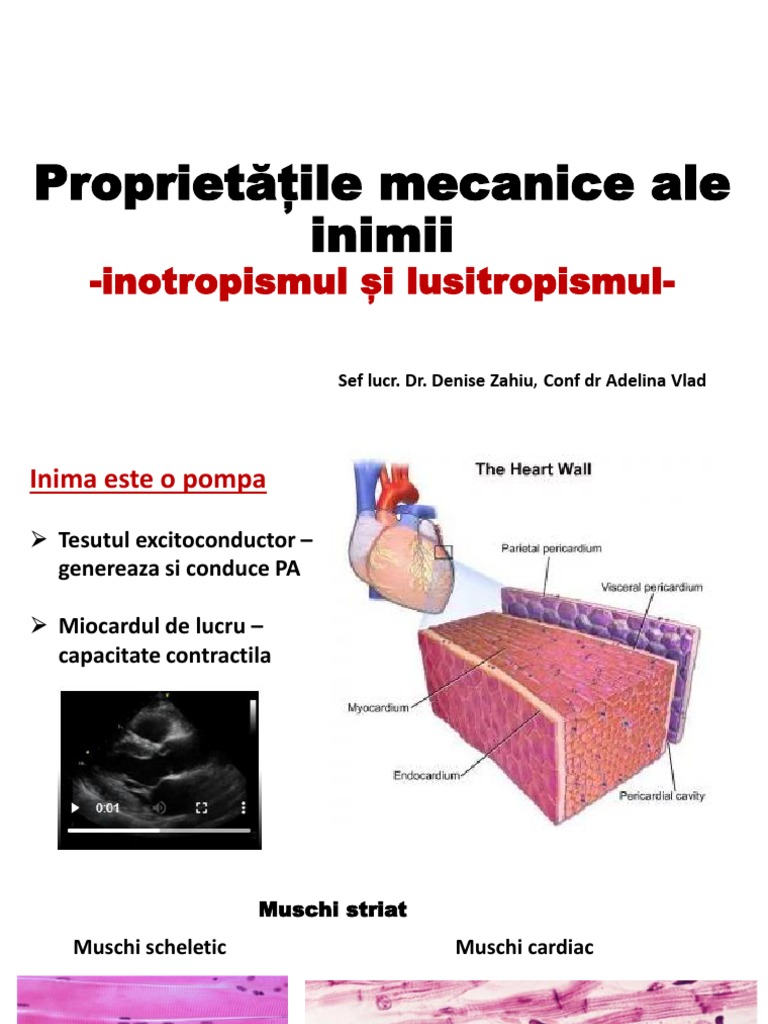 Propriet - Ile Mecanice Ale Inimii - 2022 - Erata | PDF