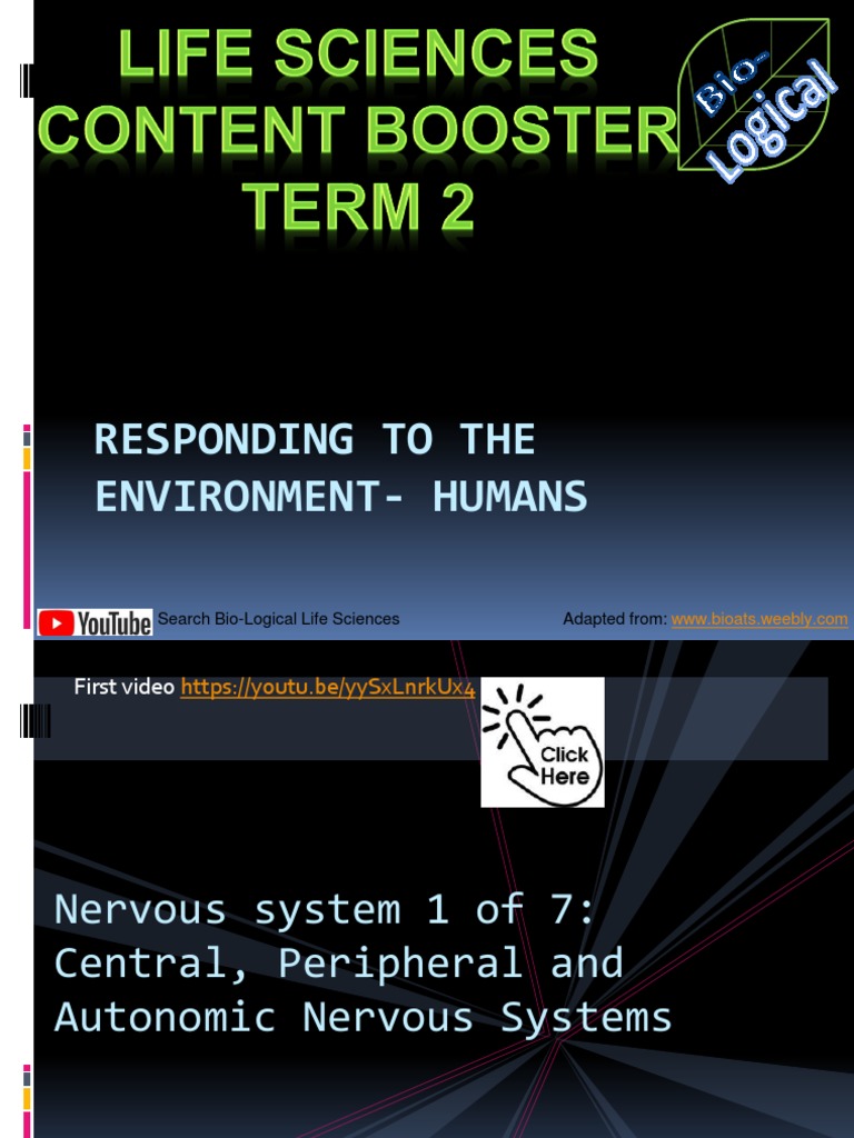 responding to the environment humans | PDF | Central Nervous System | Ear