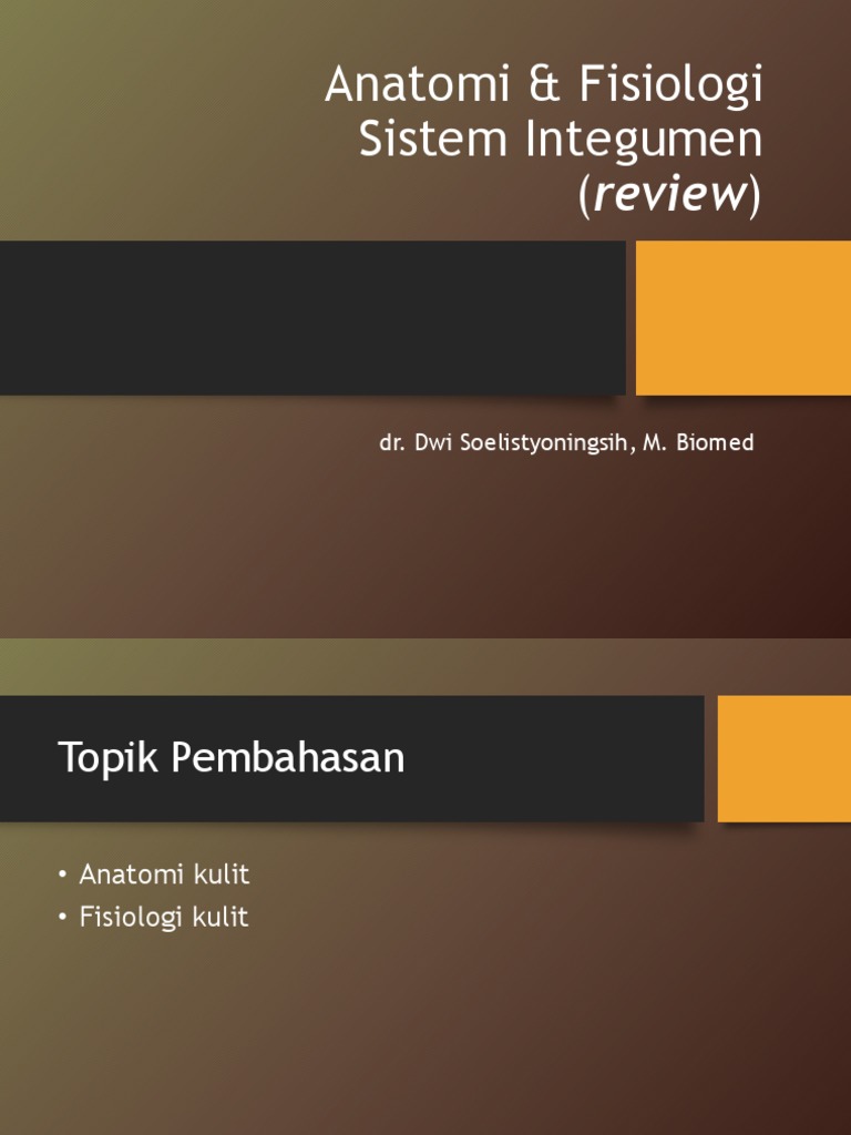 Anatomi Fisiologi Integumen (Lect14) - 1 | PDF