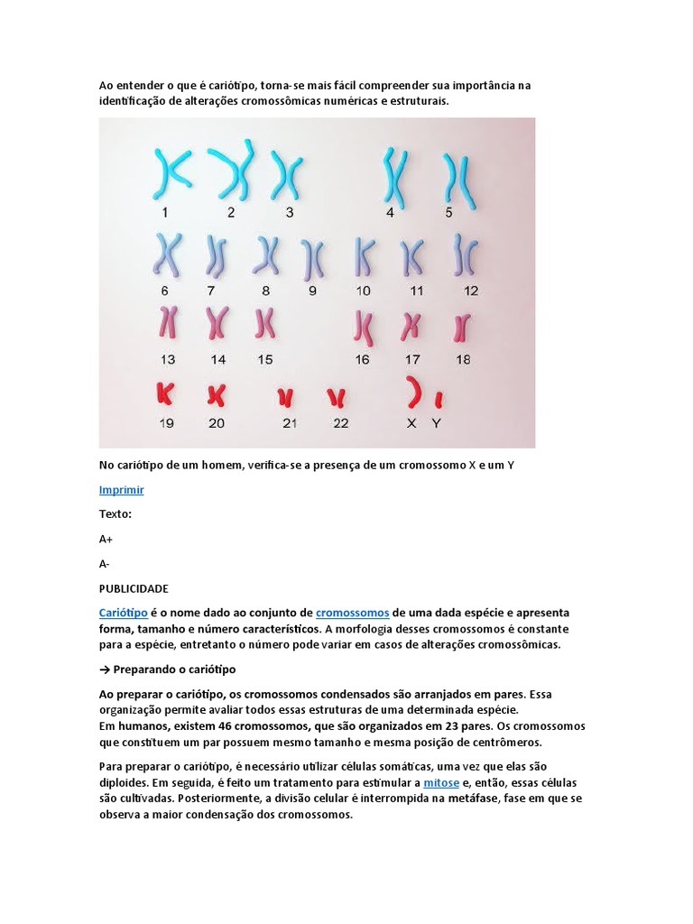 Ao Entender o Que É Cariótipo | PDF | Cromossomo | Cariótipo