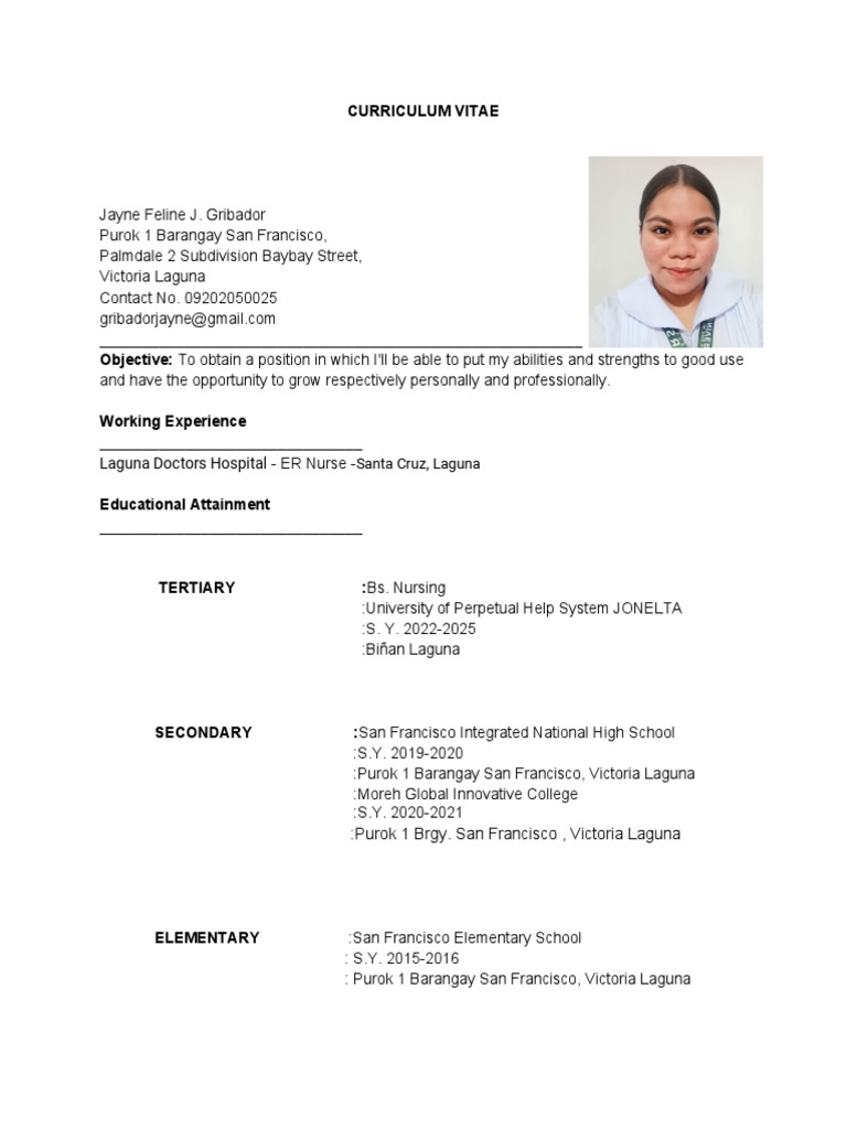 Curriculum Vitae and Application Letter | PDF