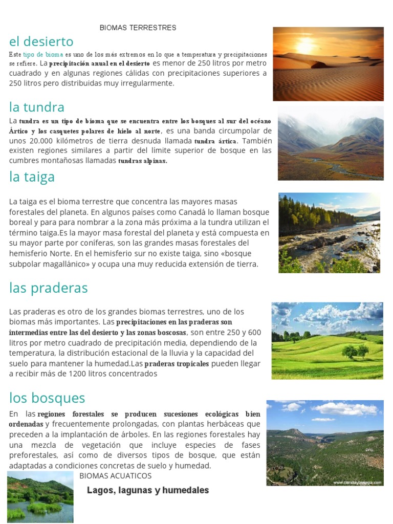 Biomas Terrestres y Acuaticos | PDF | Ciencias de la Tierra | Ecología