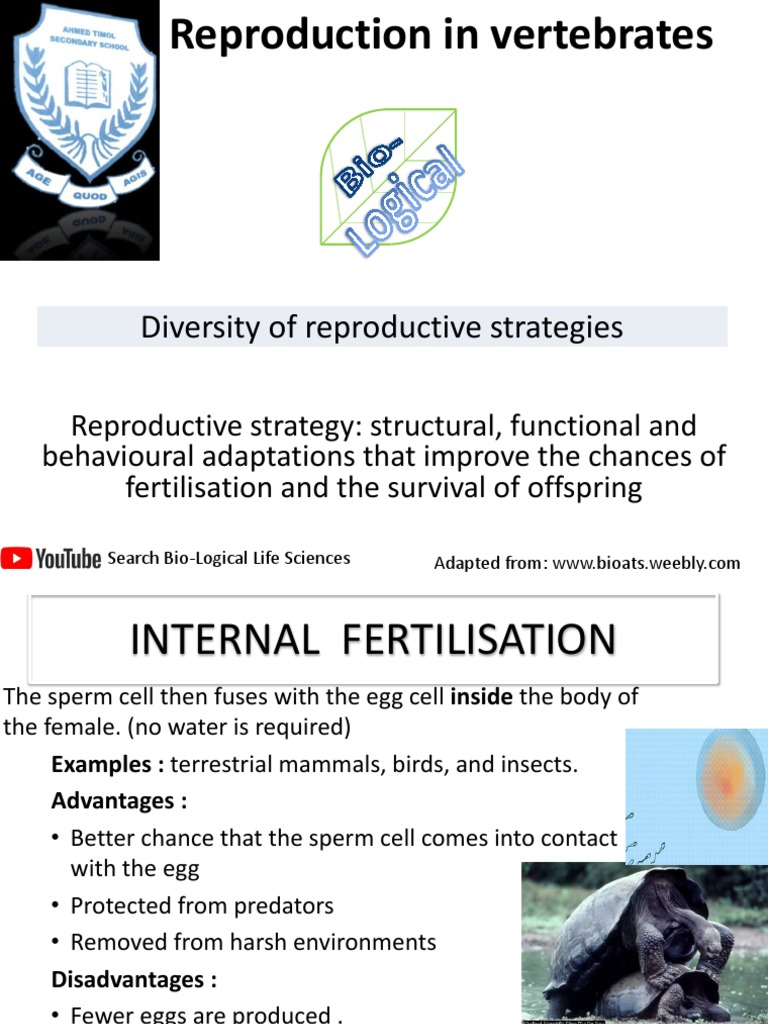 reproduction in vertebrates | PDF | Egg | Fertilisation