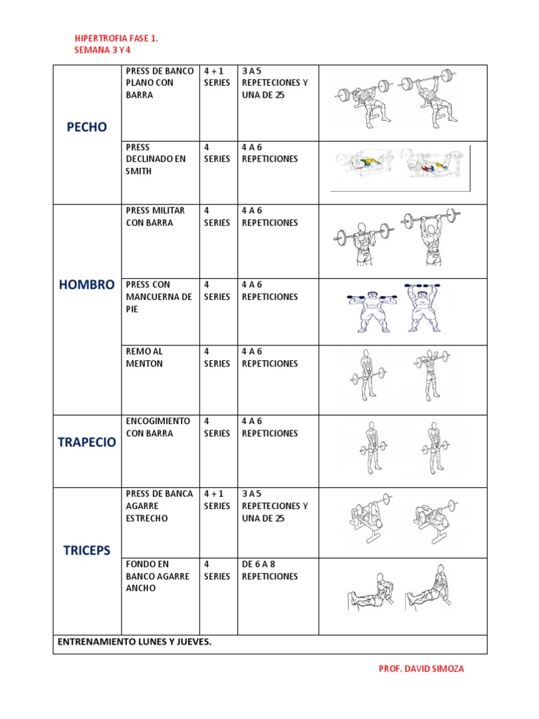 Fase 1 Semana 3 y 4 | PDF | Manejo de la obesidad | Aptitud física
