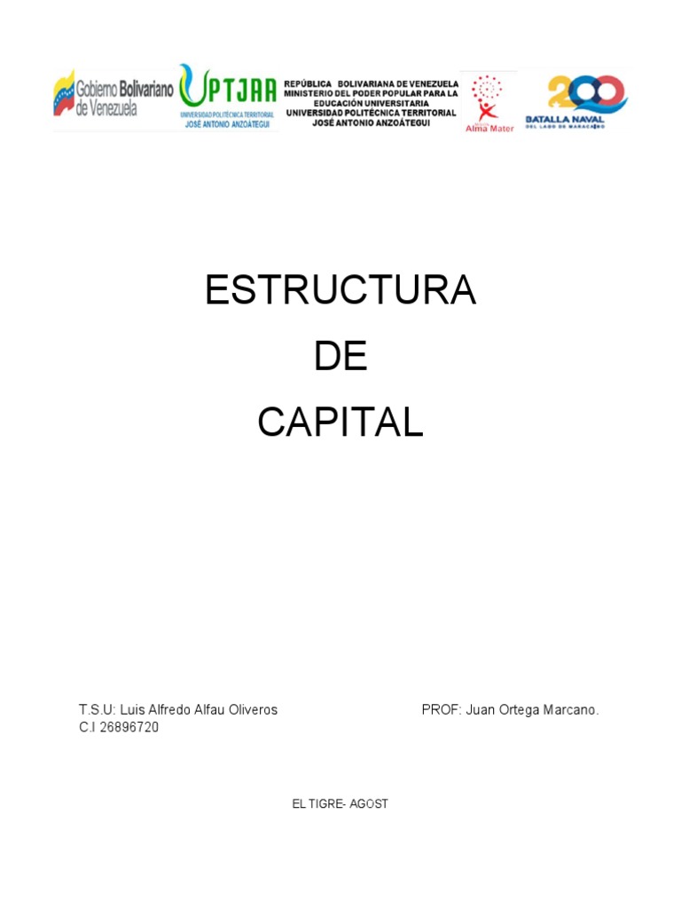 Estructura de Capital: Tipos y Cálculo | PDF | Apalancamiento (Finanzas ...