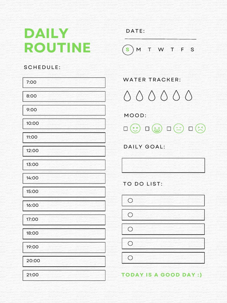 30 X Daily Routine Planner - Income - Ink | PDF | Meal | Lunch