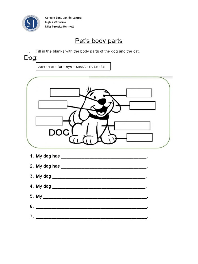 3º - Pets Body Parts | PDF
