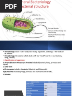 Colilert - 18 E-Coli Detection Manual | PDF | Microbiology | Bacteria