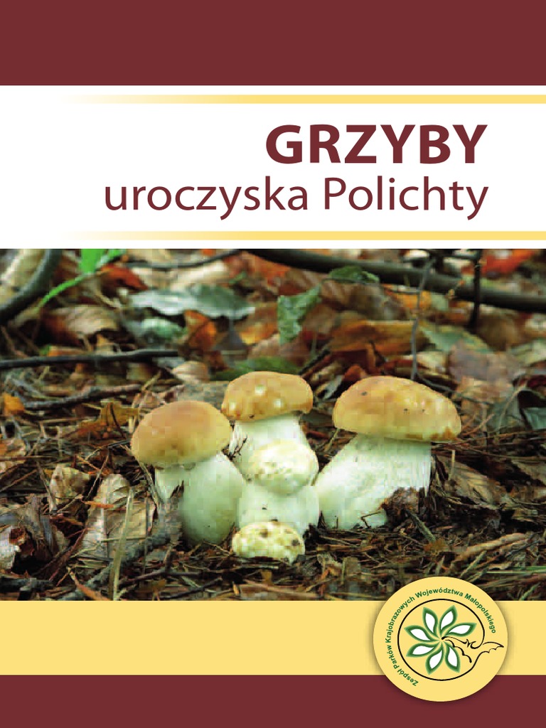 Grzyby Uroczyska Polichty | PDF