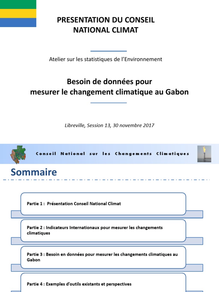 Session 13 - Gabon | PDF | Changement climatique | Forêt
