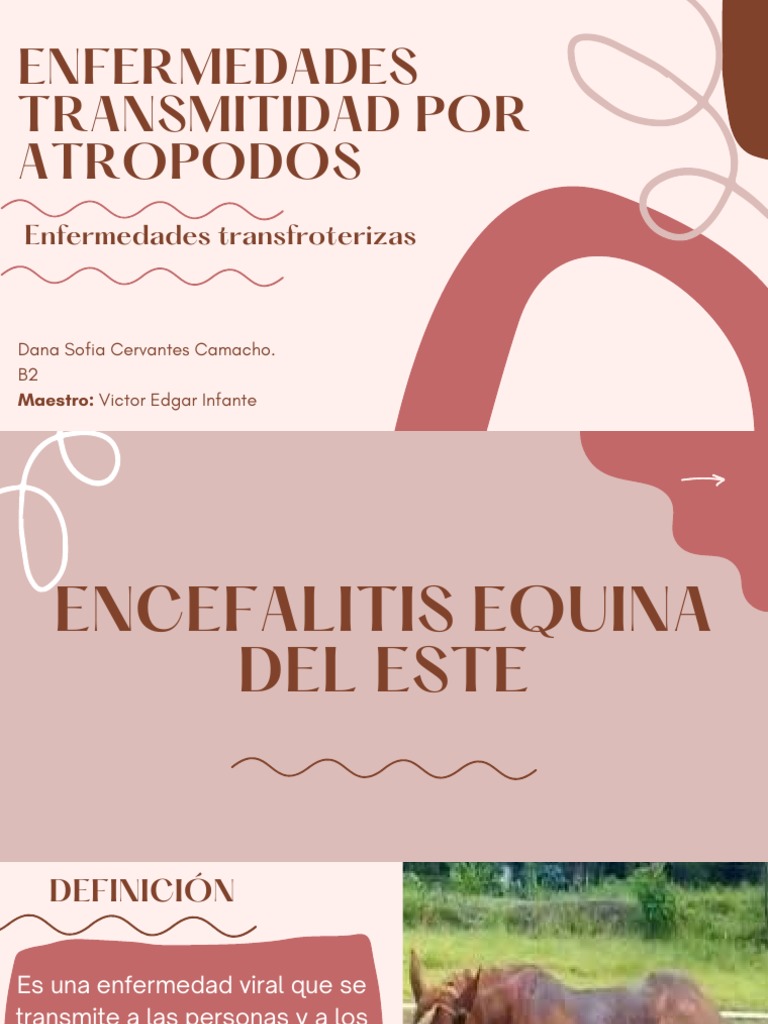 Encefalitis Equina Del Este - Cervantes Camacho Dana Sofia - B2 | PDF Encefalitis Equina Del Este - Cervantes Camacho Dana Sofia - B2 | PDF