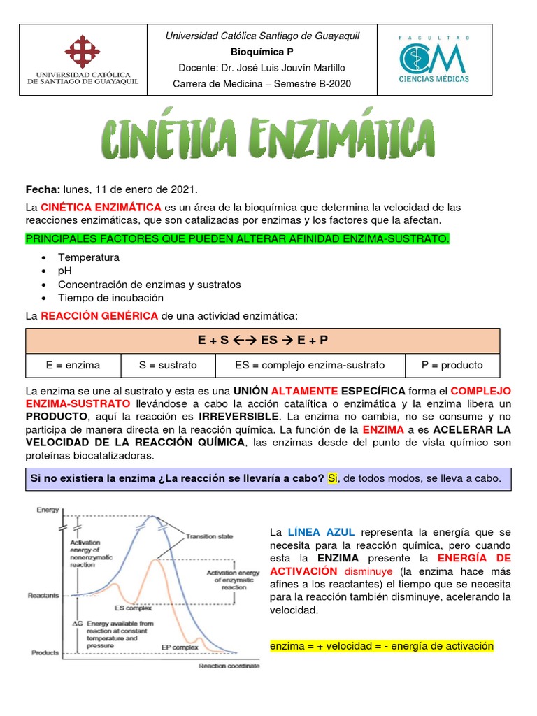 Cinetica Enzimatica | PDF | Enzima | Sustrato (Química)