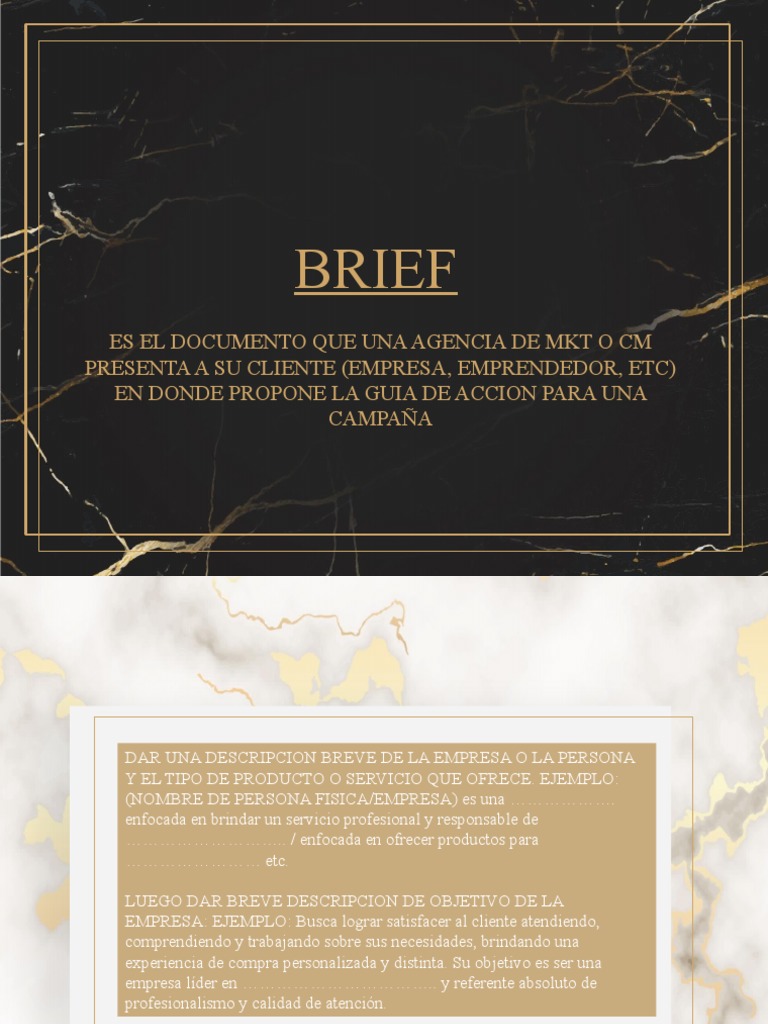 Modelo de Brief para Planes de MKT Digital | PDF | Business | Producto ...