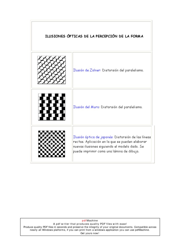 Ilusiones Ópticas de La PercepciÓn de La Forma | PDF