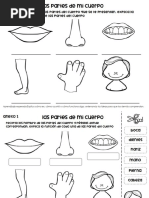 Partes Del Cuerpo Rompecabezas | PDF
