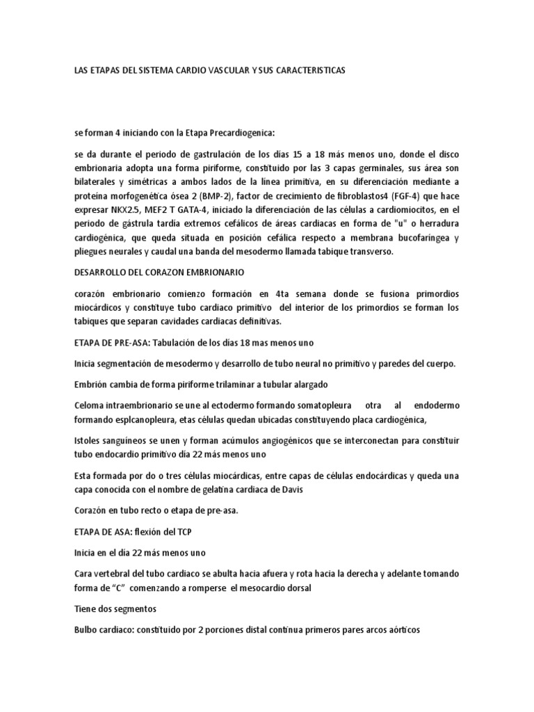 As Etapas Del Sistema Cardio Vascular y Sus Caracteristicas | PDF ...