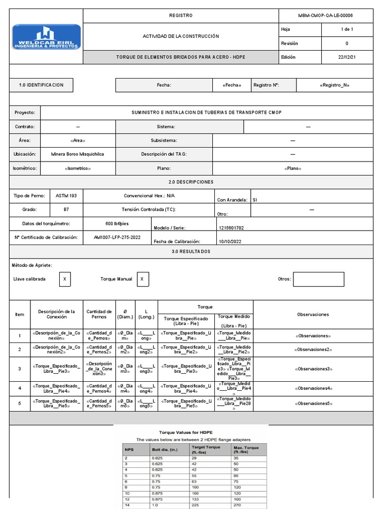 Plantilla Registros de Torque | PDF