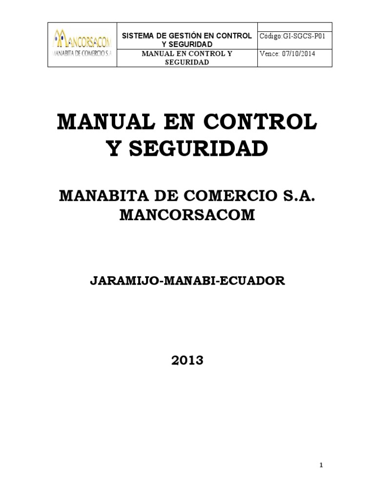 Manual Basc | PDF | Business | Auditoría