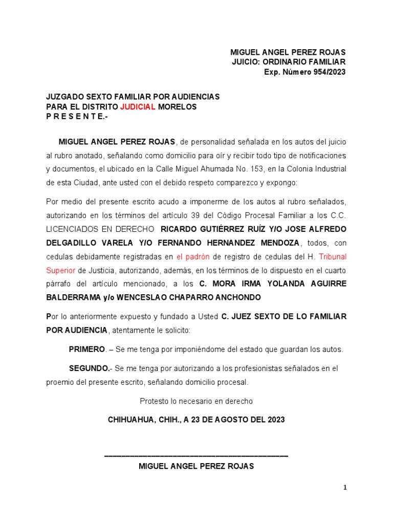 Miguel Angel Perez Rojas Nombramiento en Lo Civil (2 | PDF