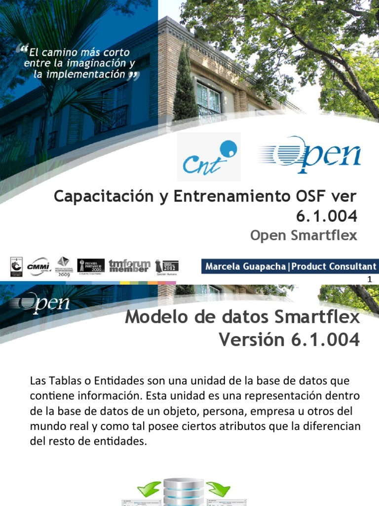 Capacitación y Entrenamiento OSF Ver 6.1.004: Open Smartflex | PDF ...