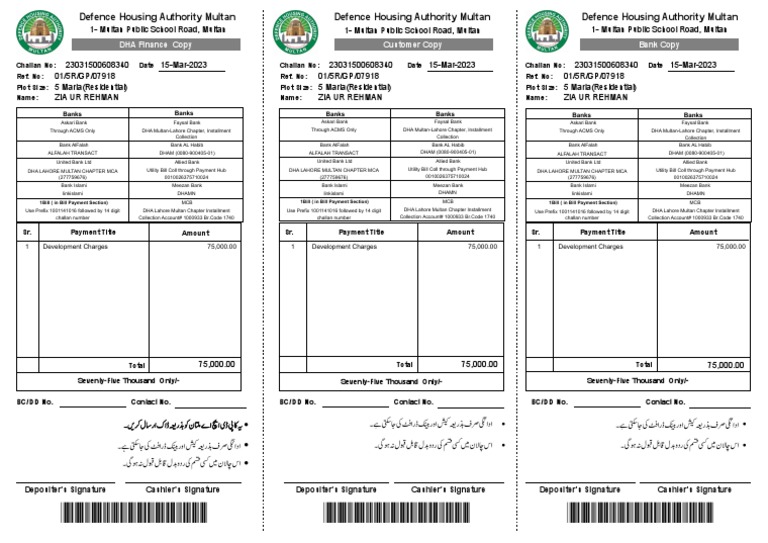 Dhamultan Challan | PDF | Service Industries | Banking