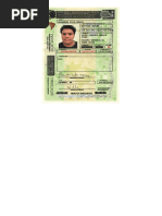 Minas CNH | PDF | Governo e personalidade | Dirigir