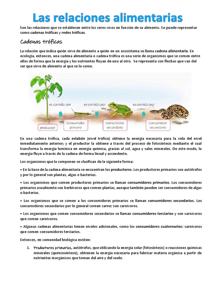 Relaciones Troficas | PDF | Naturaleza | Ecología de sistemas