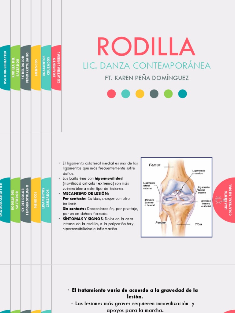 Rodilla | PDF | Rodilla | Anatomía humana