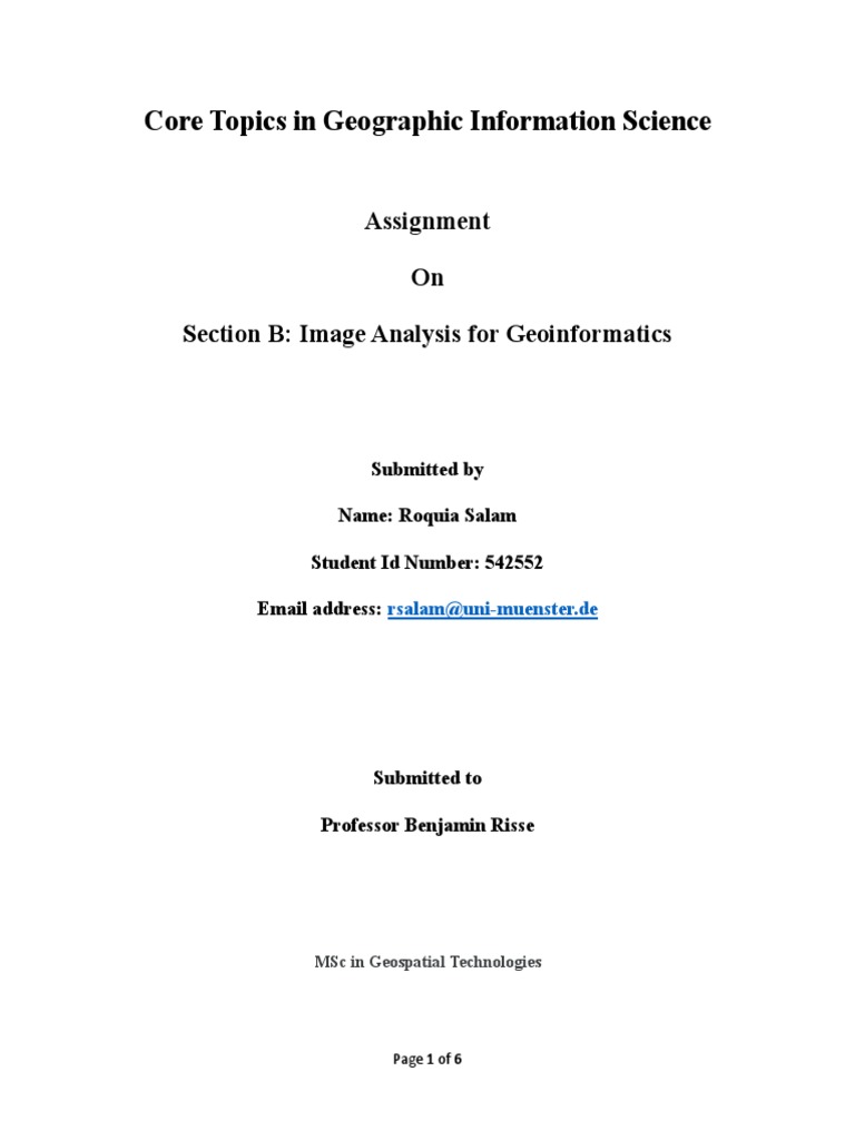 Final Assignment | PDF | Geographic Information System | Machine Learning