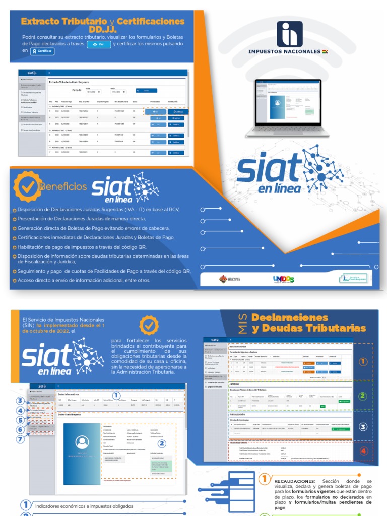 Siat en Linea | PDF | Impuestos | Economias