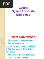 Waamicha Cidhaa | PDF