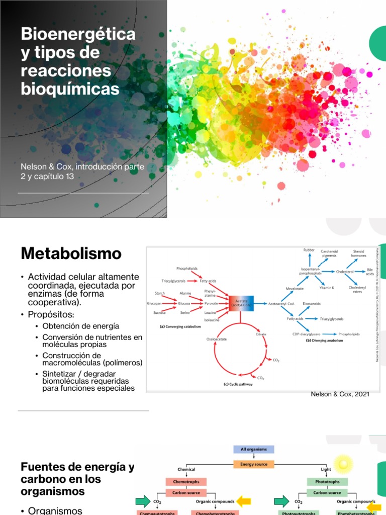 Bioenergética y Tipos de Reacciones Bioquímicas | PDF | Trifosfato de adenosina | Entalpía