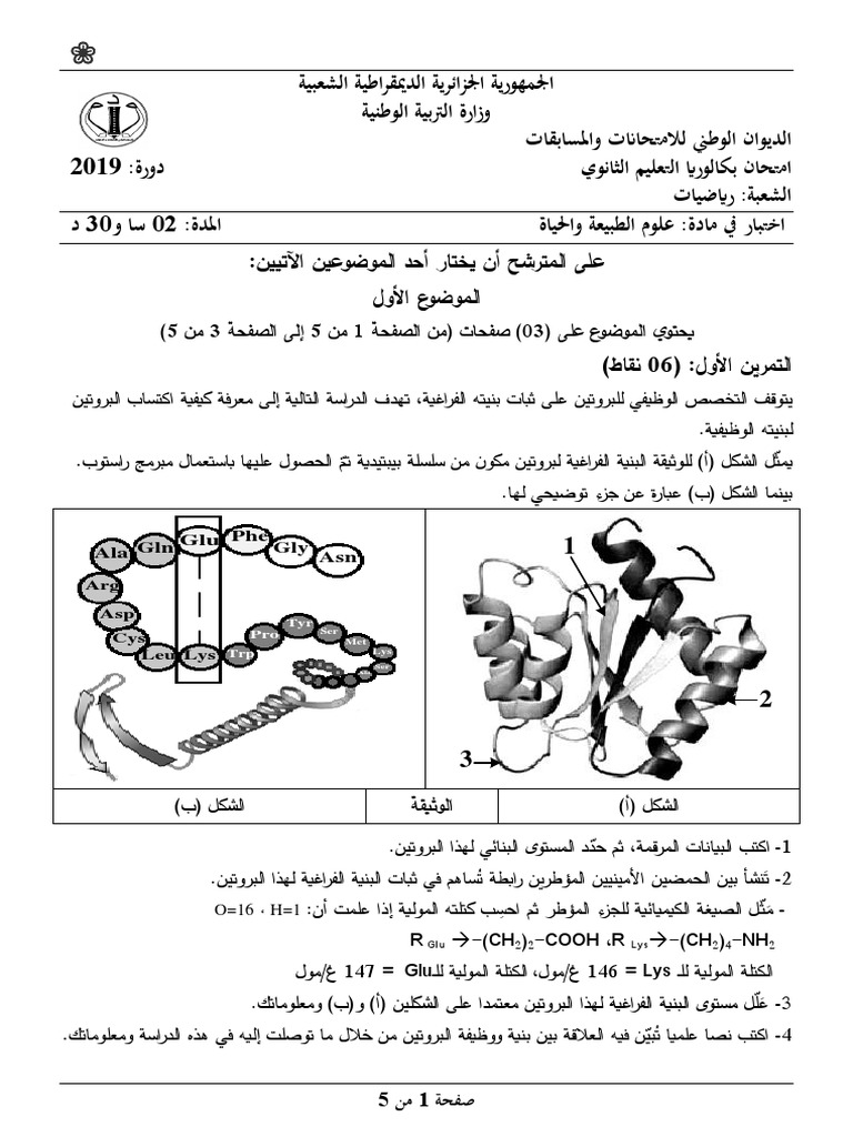 Bac Math Science 2019 | PDF