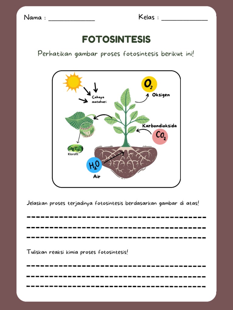 Lembar Kerja IPA Fotosintesis Coklat Ilustratif (16 × 21 CM) - 20230830 ...