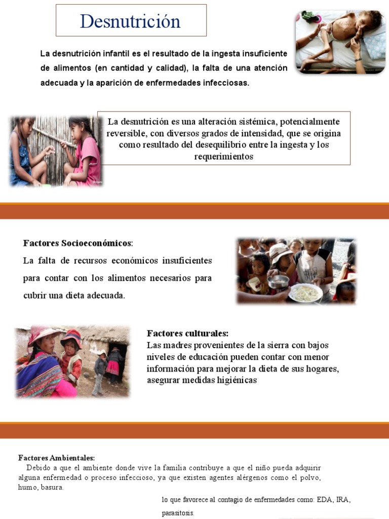 Desnutricion Pdf Dieta Alimentos