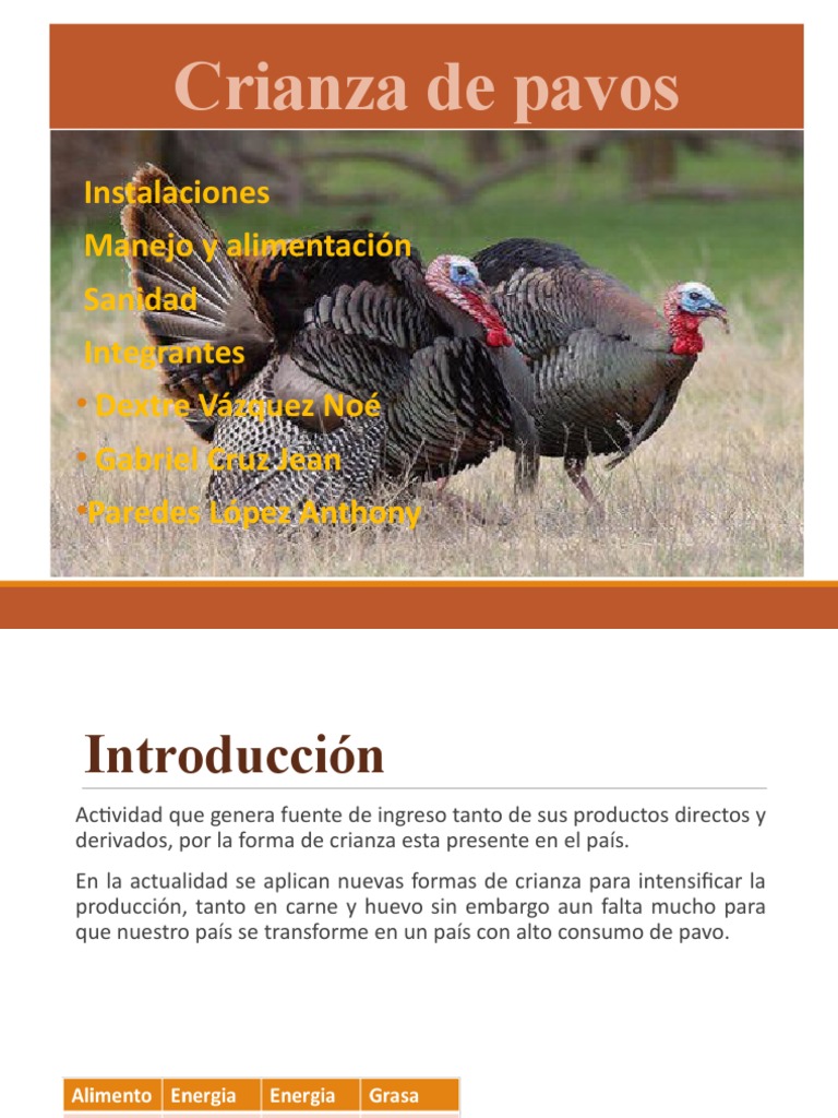 PAVOS | PDF | Especialidades Medicas | Enfermedades y trastornos