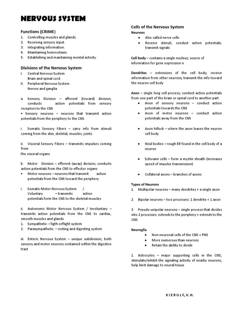 Nervous System Reviewer | PDF | Axon | Central Nervous System