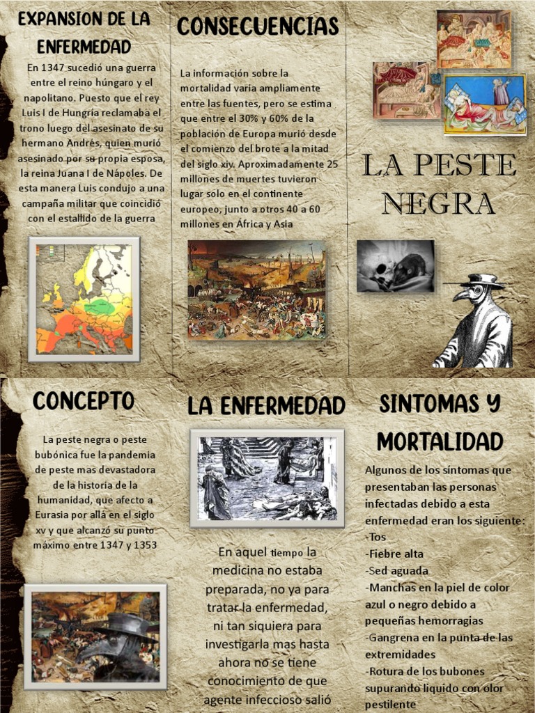 La Peste Negra | PDF | Muerte negra | Causas de la muerte