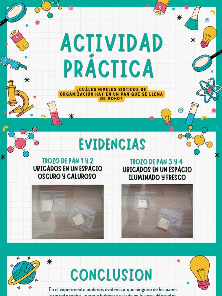 Actividad Practica (1) - Comprimido | PDF