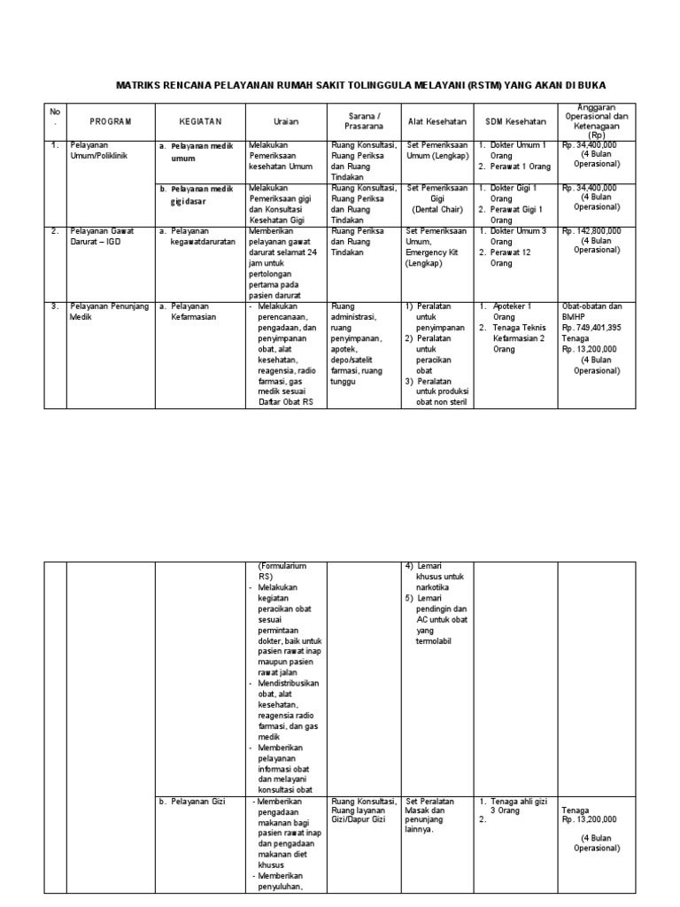 Matriks Rencana Pelayanan Minimal RSTM | PDF
