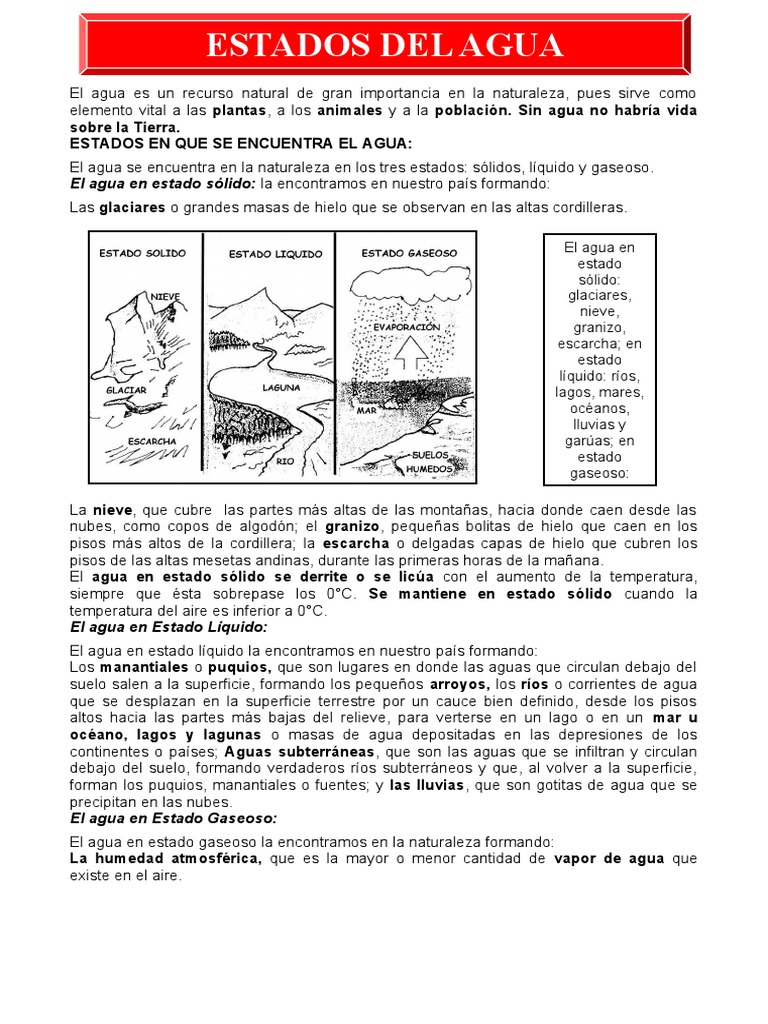 Estados Del Agua | PDF | Agua | Precipitación