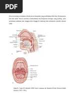 Struktur dan Fungsi Anatomi Mulut | PDF