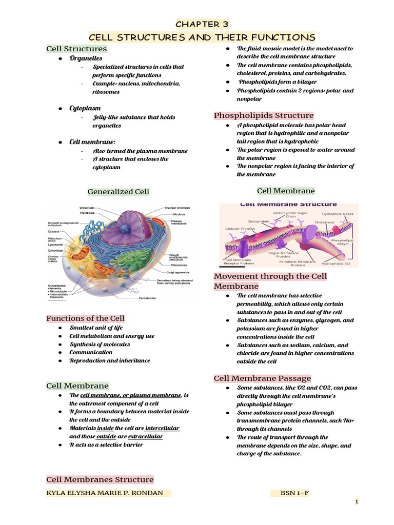 Anaphy Chapter 3 | PDF | Cell Membrane | Osmosis