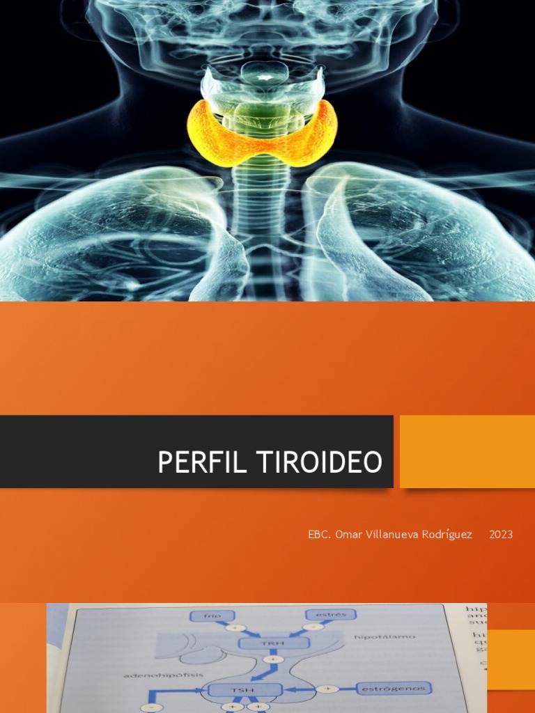 Perfil Tiroideo | PDF | Hormona estimulante de la tiroides | Tiroides