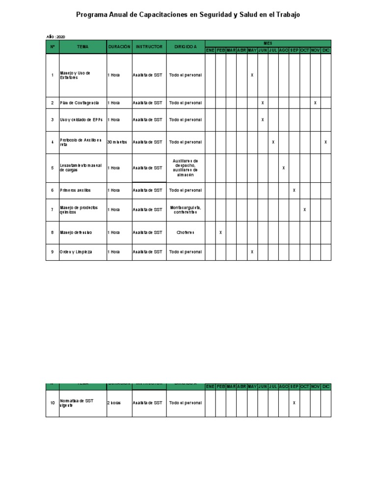 Formato Programa de Capacitaciones de SST | PDF